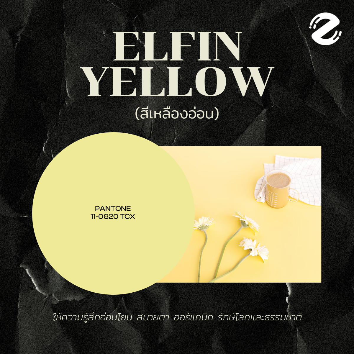 เทรนด์สีปี 2023 ส่องทั้ง 7 สี! ปีหน้าจะเป็นสีอะไร? อ้างอิงจากเจาะเทรนด์ ...