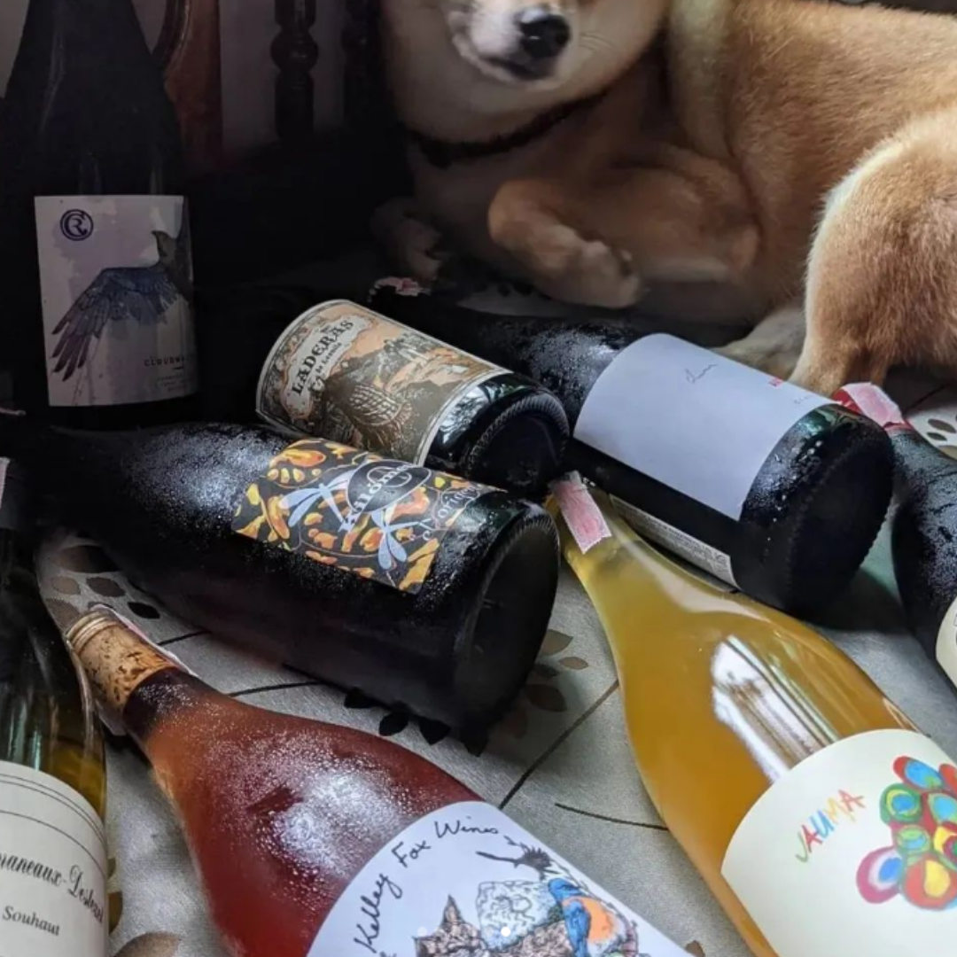 ร้าน Wine bar 7 พิกัด บรรยากาศสุดชิล ฉบับคนเก๋ๆในเมืองกรุงฯ