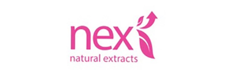 NEX Japan 2020 | Zipevent - Inspiration Everywhere