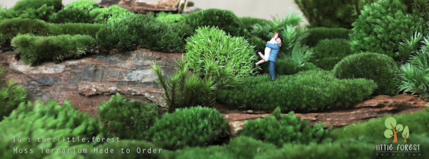 จัดสวนขวด Terrarium โดย ครูเต้ แห่ง Little Forrest | Zipevent ...