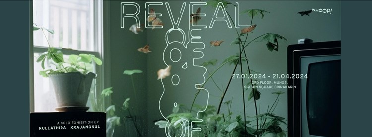 REVEAL of NEVERLAND | Zipevent - Inspiration Everywhere