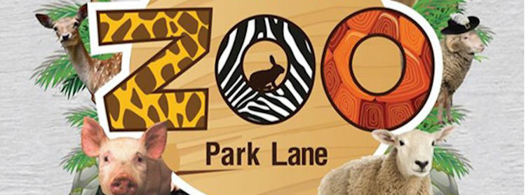 Mini Zoo | Zipevent - Inspiration Everywhere