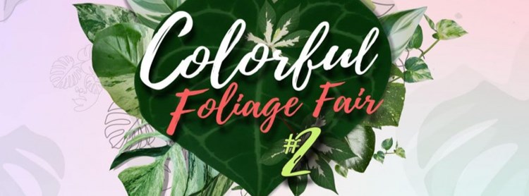 Colorful Foliage Fair #2 | Zipevent - Inspiration Everywhere