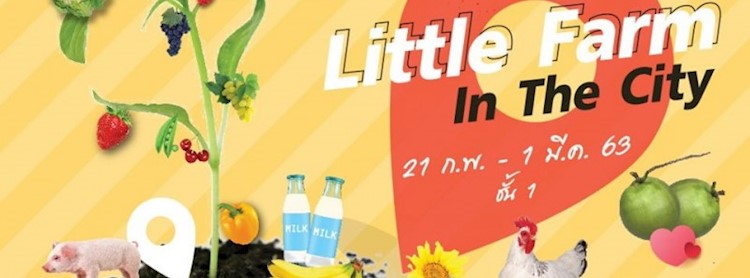 Little Farm in the city | Zipevent - Inspiration Everywhere