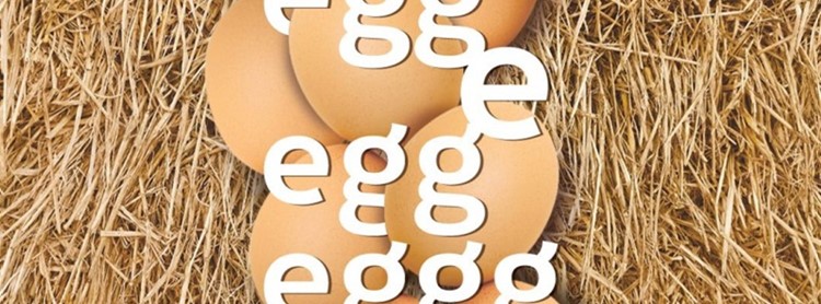 Egg E Egg Egg | Zipevent - Inspiration Everywhere