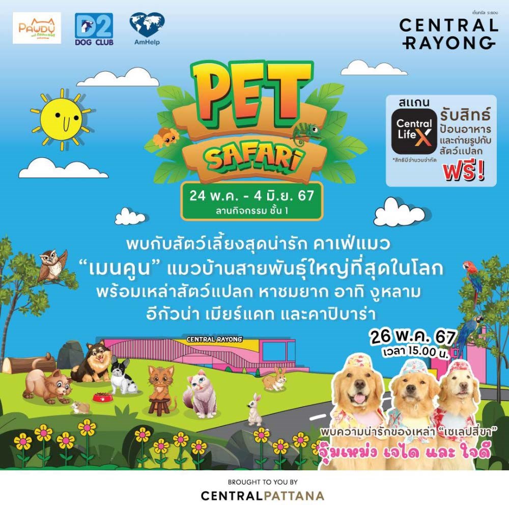 Rayong Pet Safari | Zipevent - Inspiration Everywhere