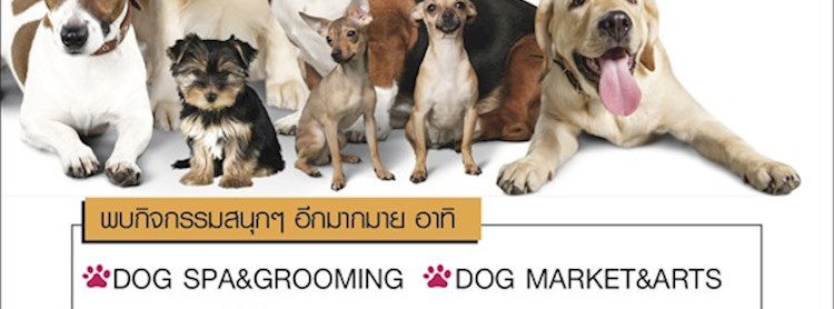 CDC DOG FESTIVAL | Zipevent - Inspiration Everywhere