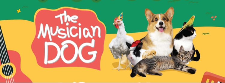 THE MUSICIAN DOG | Zipevent - Inspiration Everywhere