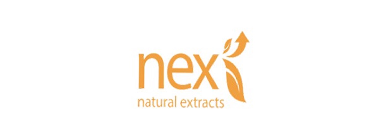 NEX China 2020 | Zipevent - Inspiration Everywhere