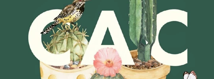 Cactus Mania 2020 | Zipevent - Inspiration Everywhere