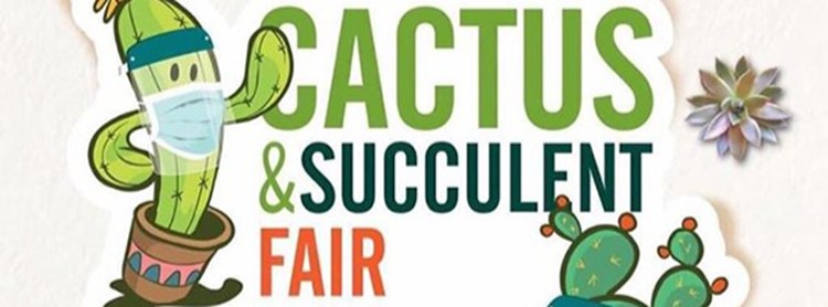Cactus & Succulent Fair | Zipevent - Inspiration Everywhere